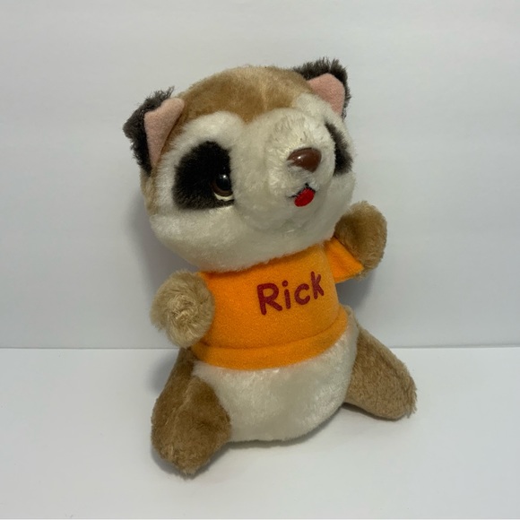 Hallmark | Toys | Vintage 98 Hasbro Hallmark Shirt Tales Rick Raccoon ...